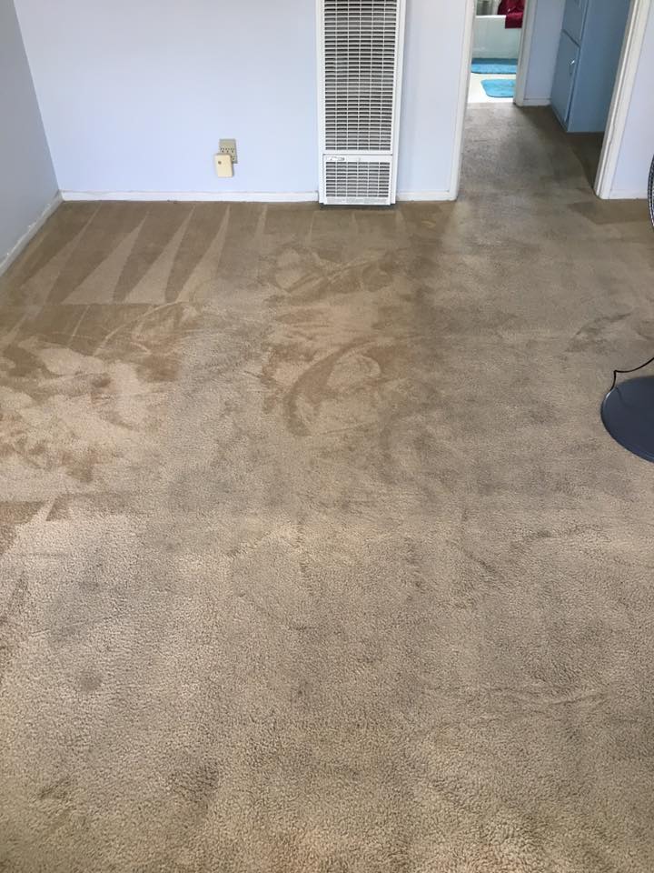 Light Color Carpet Job - DryMaster Systems, Inc.