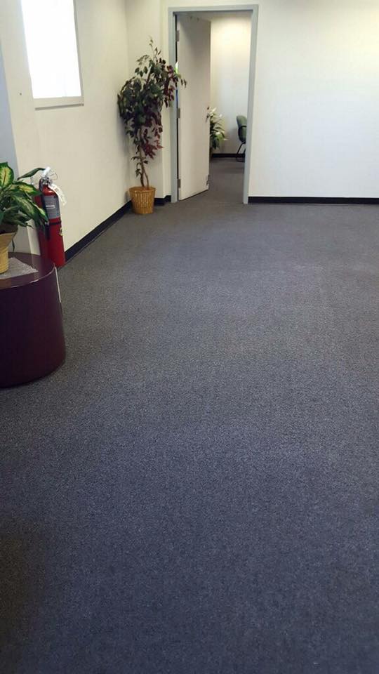 Extremely Dirty Office Carpet - DryMaster Systems, Inc.