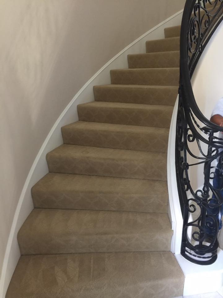 Cleaned 3200 Sq Ft Carpet - DryMaster Systems, Inc.