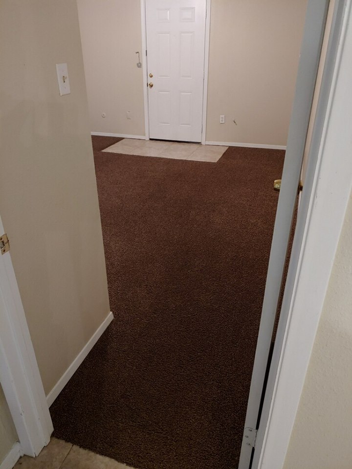 Best Carpet Cleaning - DryMaster Systems, Inc.